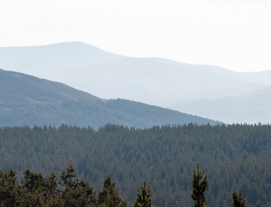 Where’s the ‘Wild’ in Wild Nephin? - Irish Wildlife Trust
