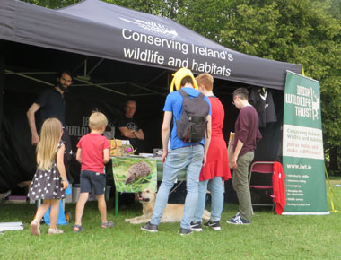 Irish Wildlife Trust - Home