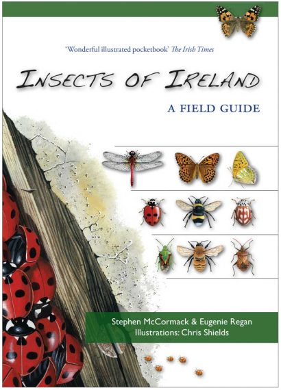Insects of Ireland - Irish Wildlife Trust