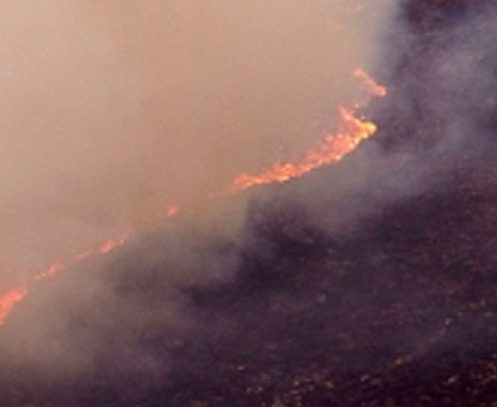 Prohibition on burning vegetation - Irish Wildlife Trust