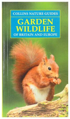 My First Book of Irish Animals - Irish Wildlife Trust