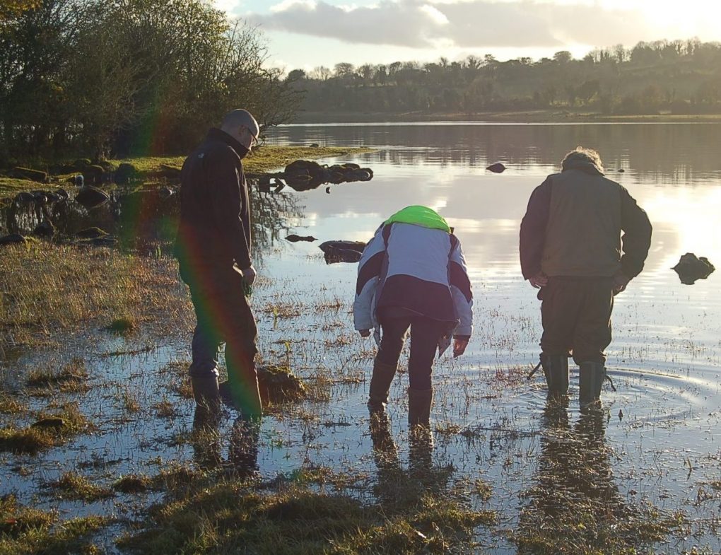 Irish Wildlife Trust - Home