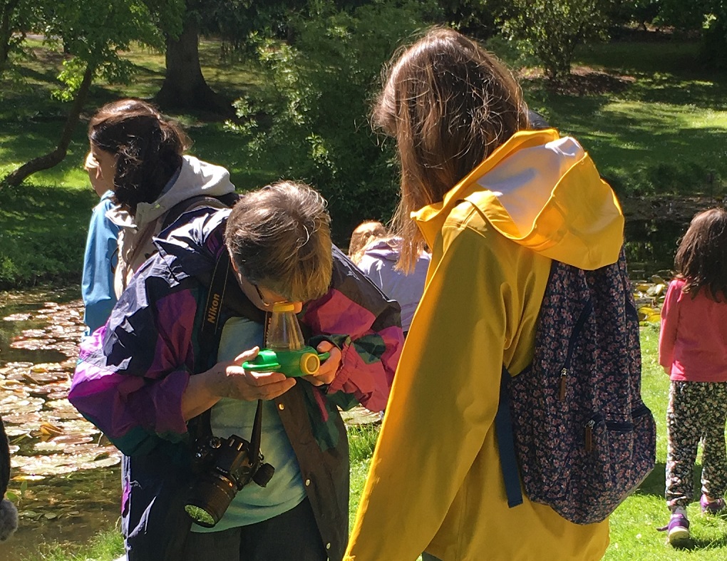 Irish Wildlife Trust - Home