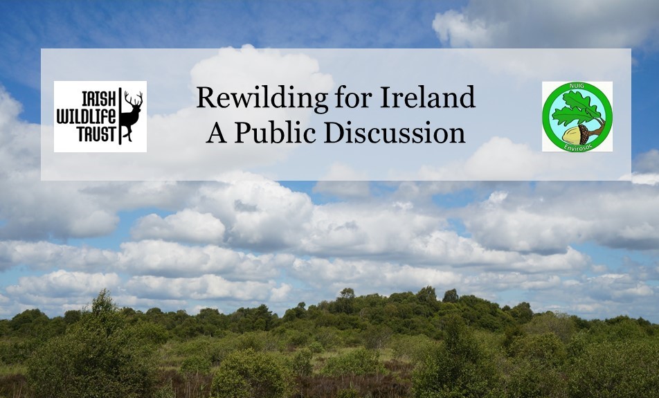IWT to hold ‘Rewilding’ Discussion in Galway - Irish Wildlife Trust
