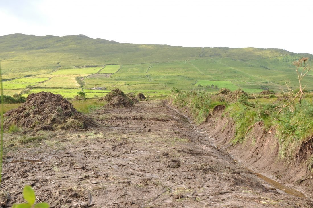 Corrosive power relations, not farmers, are killing the planet - Irish ...