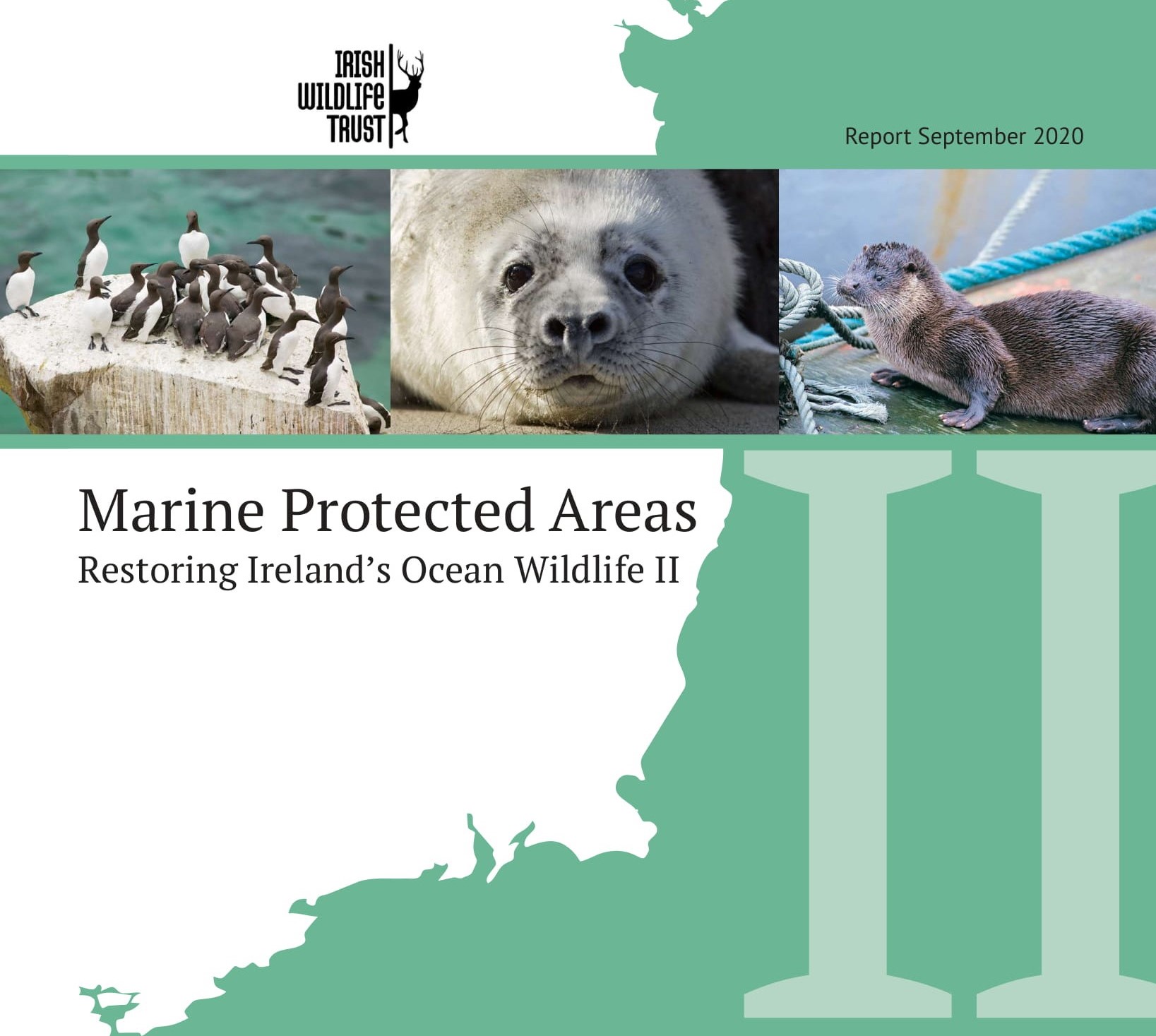 IWT calls on Minister O’Brien to take urgent measures to prevent ...