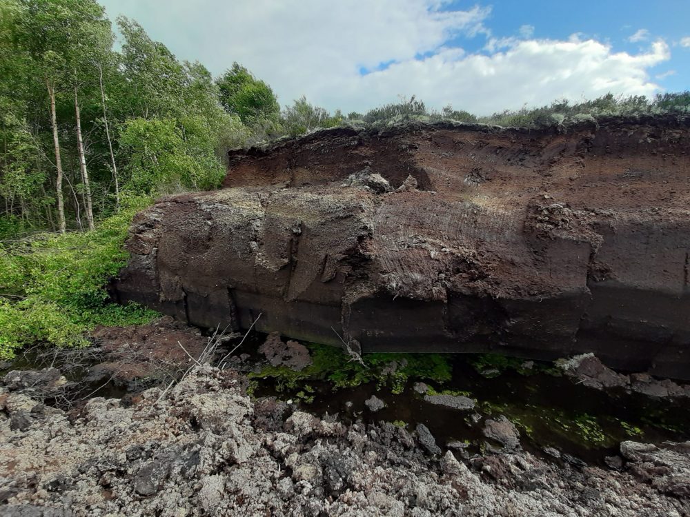 Press Release: New information shows that unlawful turf-cutting remains ...