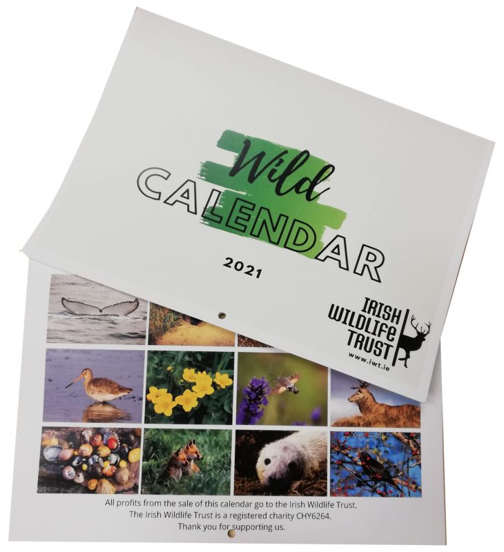 IWT Membership: Individual Membership - Irish Wildlife Trust