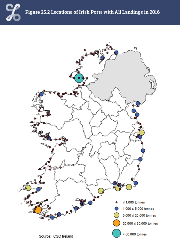 What’s the point of industrial fishing? - Irish Wildlife Trust