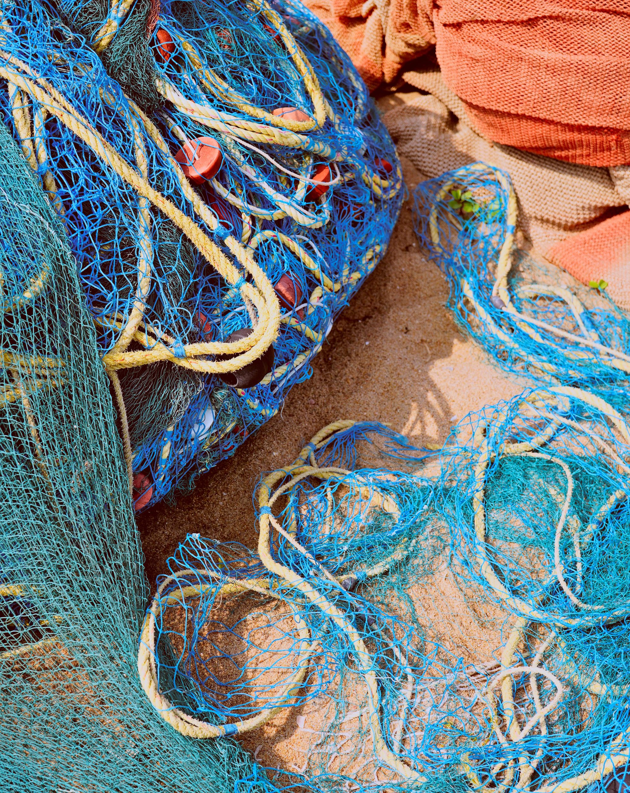 What’s the point of industrial fishing? - Irish Wildlife Trust