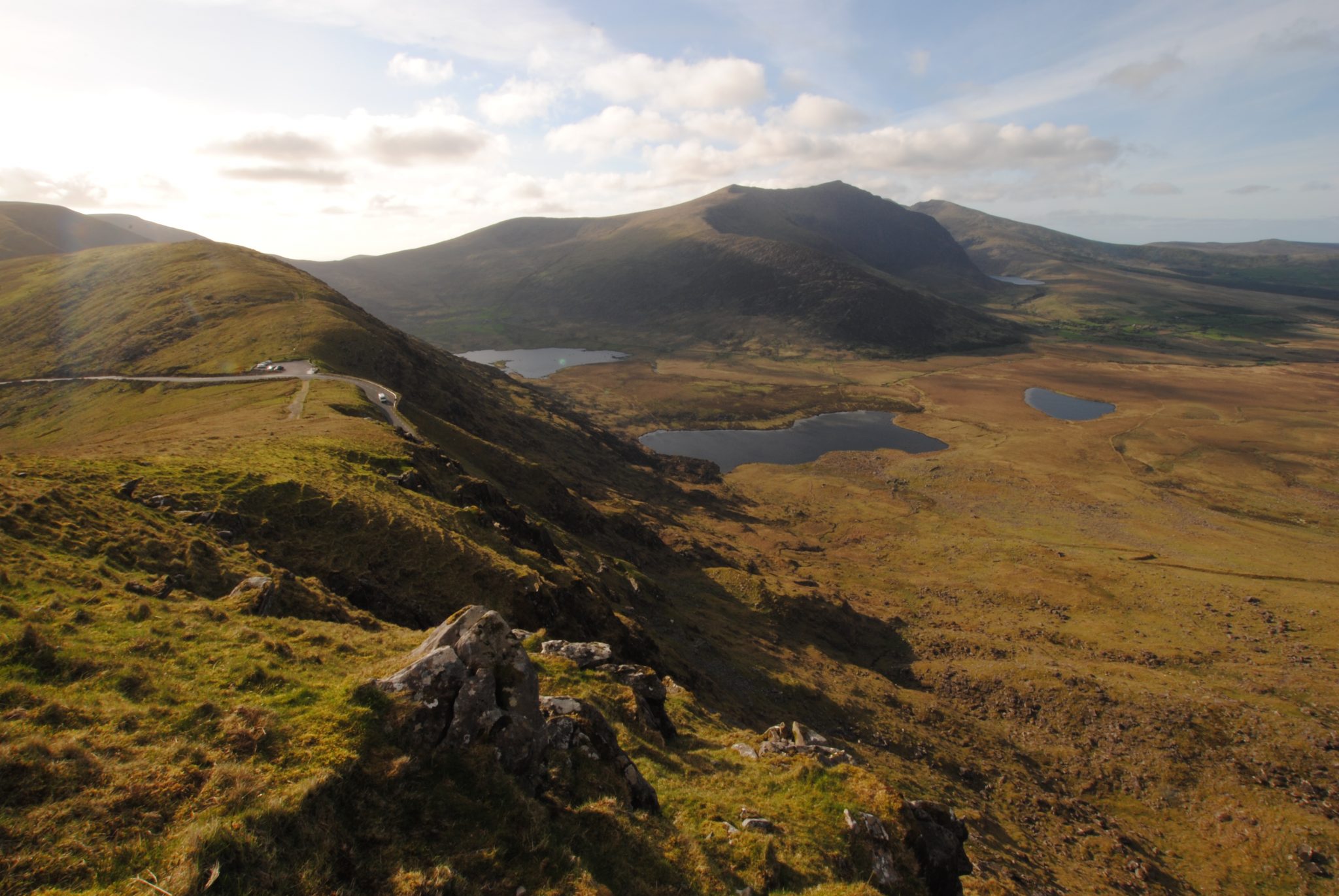 Chapter 4: The Wild Atlantic Rainforest - Irish Wildlife Trust