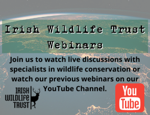 Irish Wildlife Trust - Home