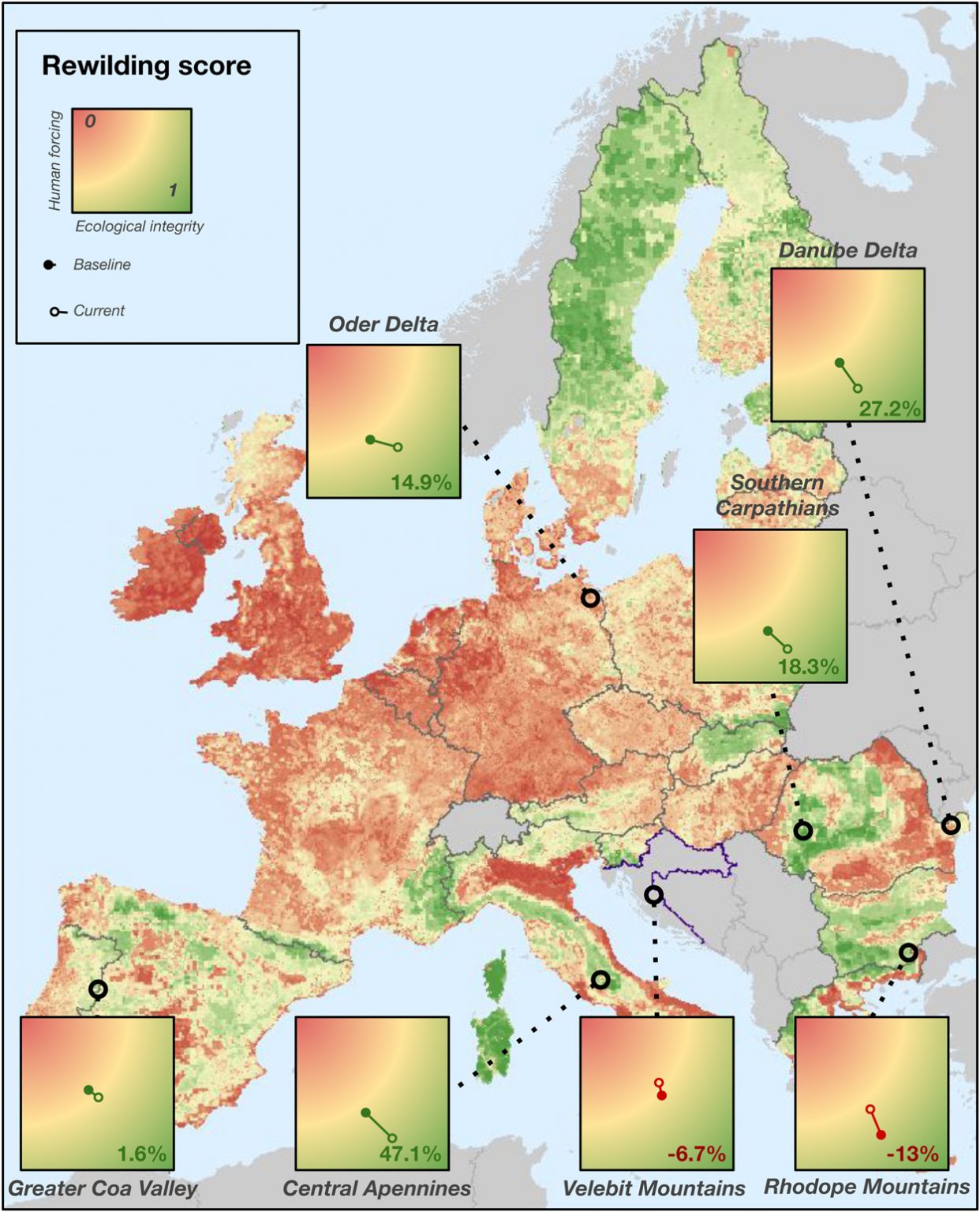 Rewilding Ireland - where will be first? - Irish Wildlife Trust