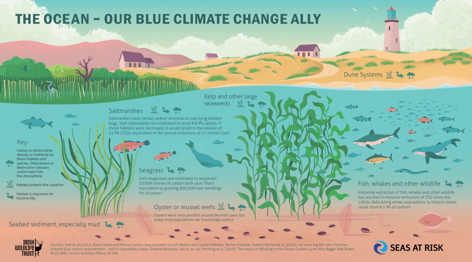Marine Protected Areas - Irish Wildlife Trust