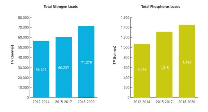 WWF and ‘Origin Green - Irish Wildlife Trust