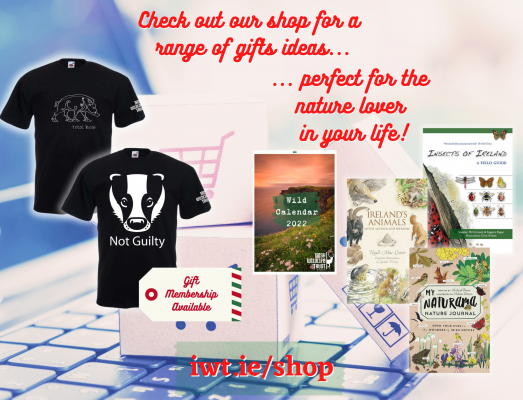 Irish Wildlife Trust - Home