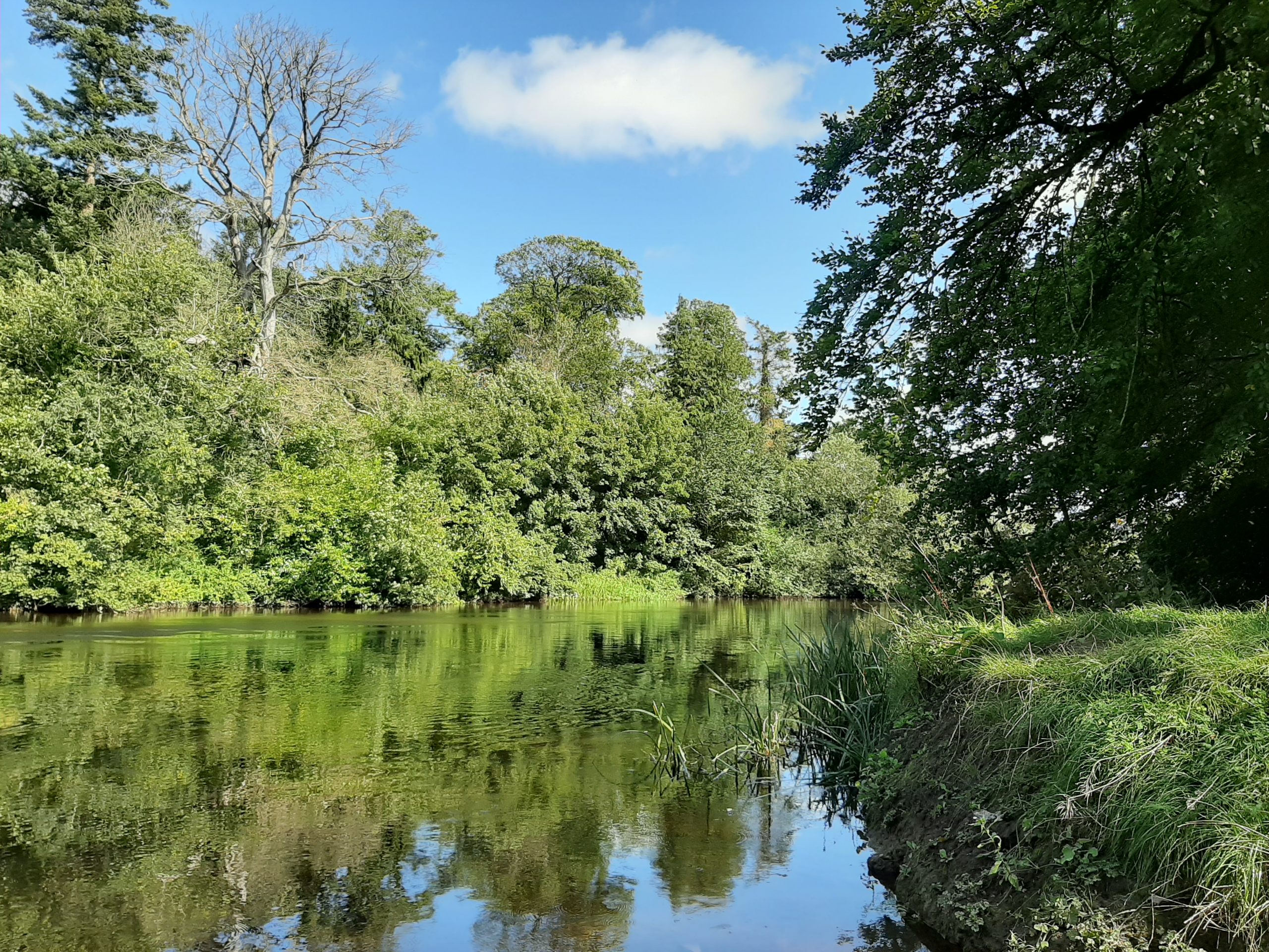 Water... what's it to you? - Irish Wildlife Trust