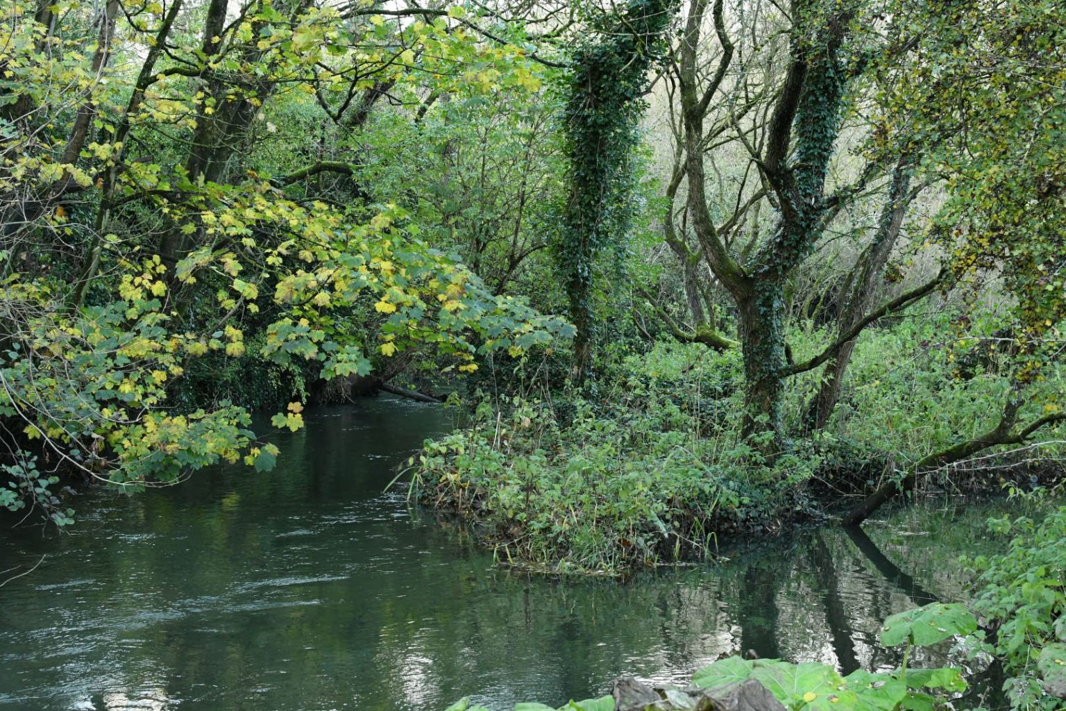 Water... what's it to you? - Irish Wildlife Trust