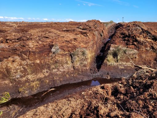 PRESS RELEASE: Peat needs to stay in the ground - Irish Wildlife Trust