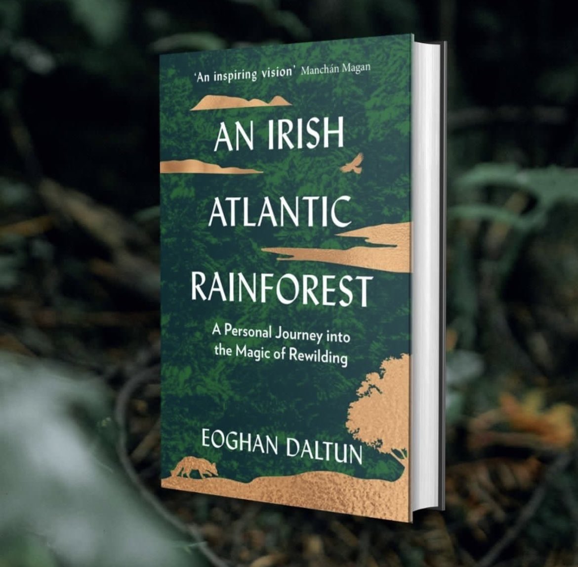 No more industrial tree farms - Irish Wildlife Trust