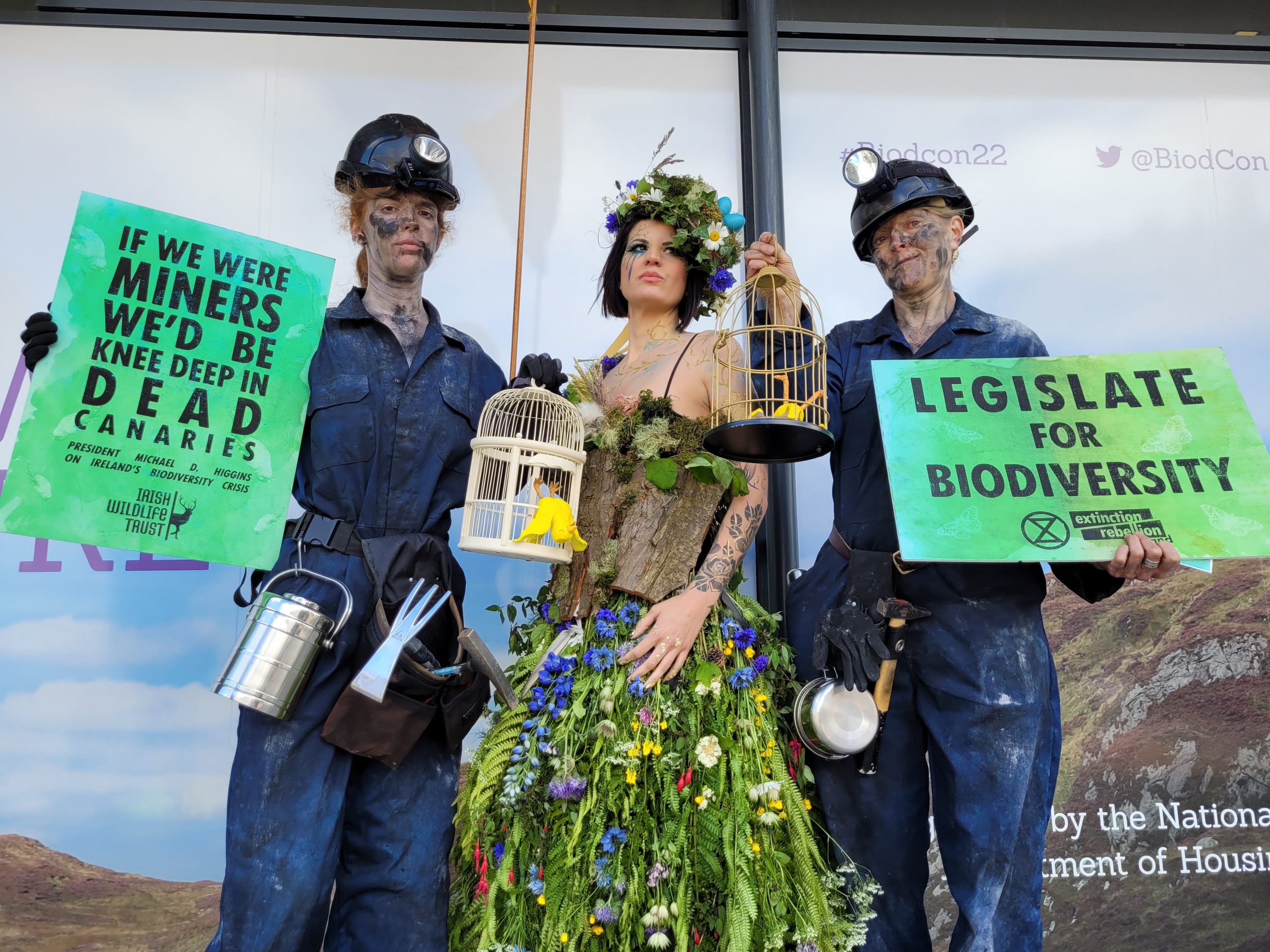 Looking back on 2022 - Irish Wildlife Trust