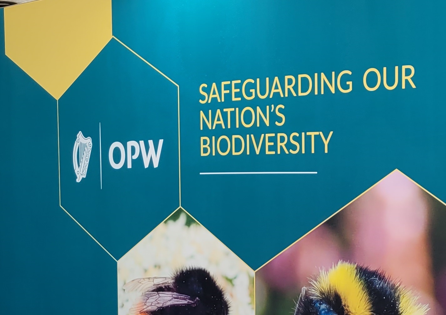 The Lawless OPW - Irish Wildlife Trust