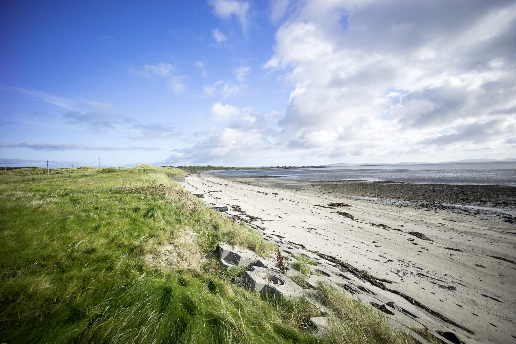 Judgement on European Commission vs. Ireland case - Irish Wildlife Trust