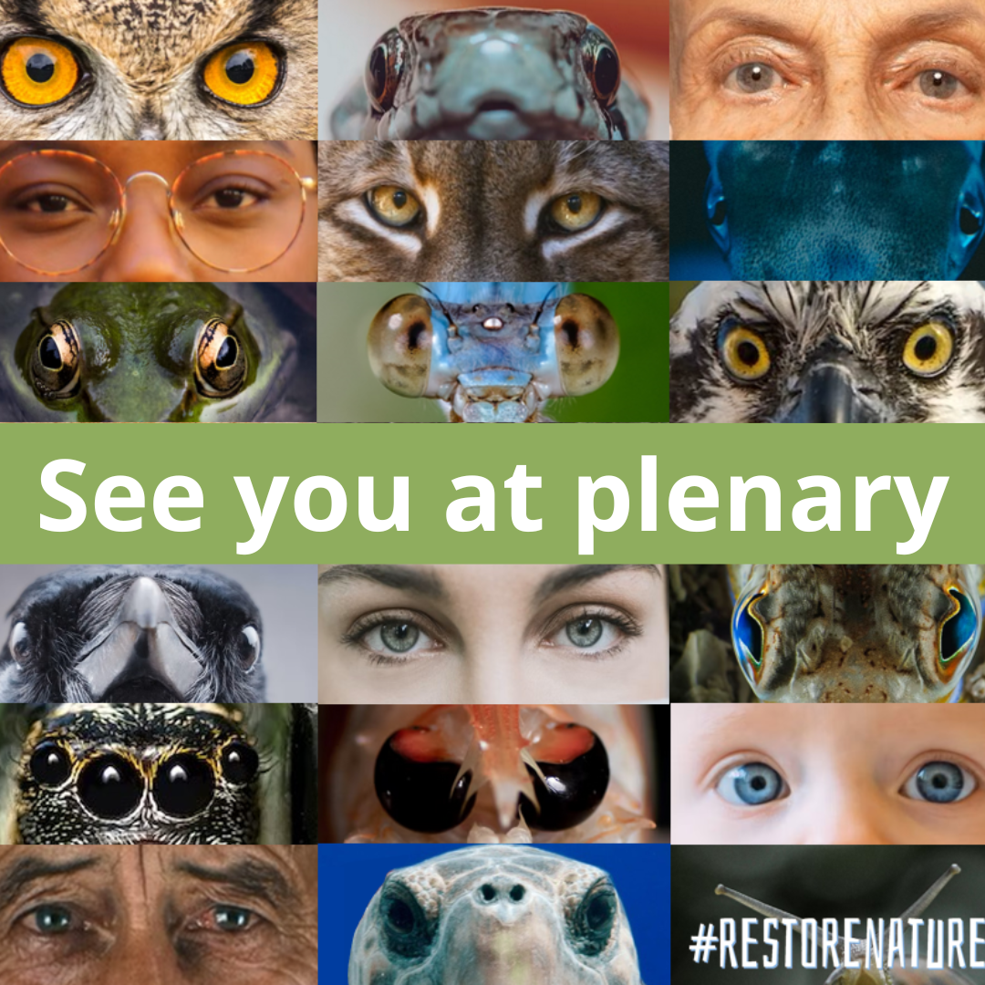 Irish MEPs must support a strong Nature Restoration Law at the European ...