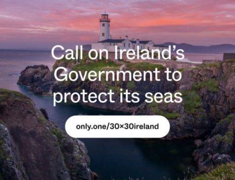 Irish Wildlife Trust - Home