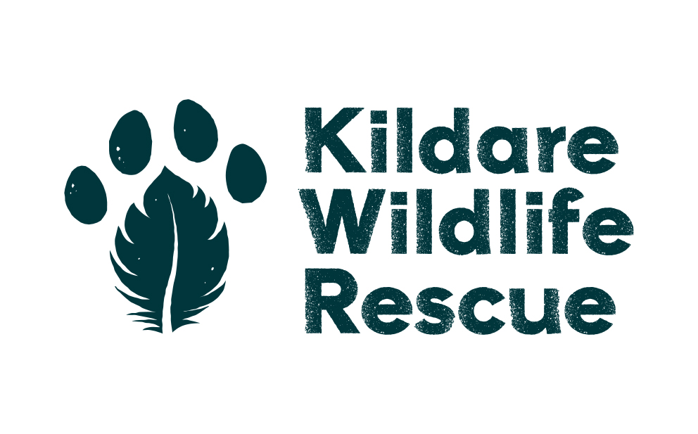 Wildlife Emergency - Irish Wildlife Trust