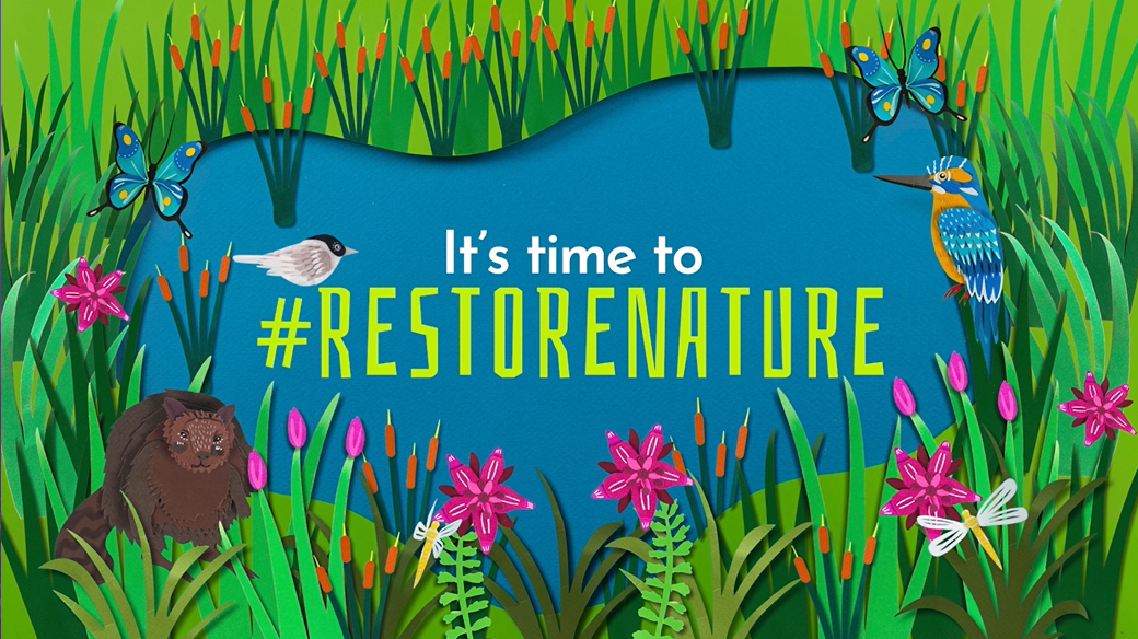 Nature Restoration Law passed by European Parliament - Irish Wildlife Trust