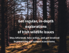 Irish Wildlife Trust - Home