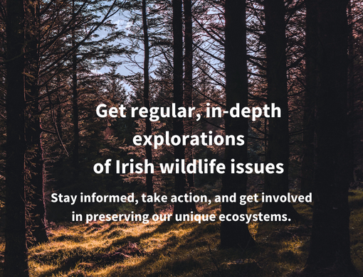 Irish Wildlife Trust - Home