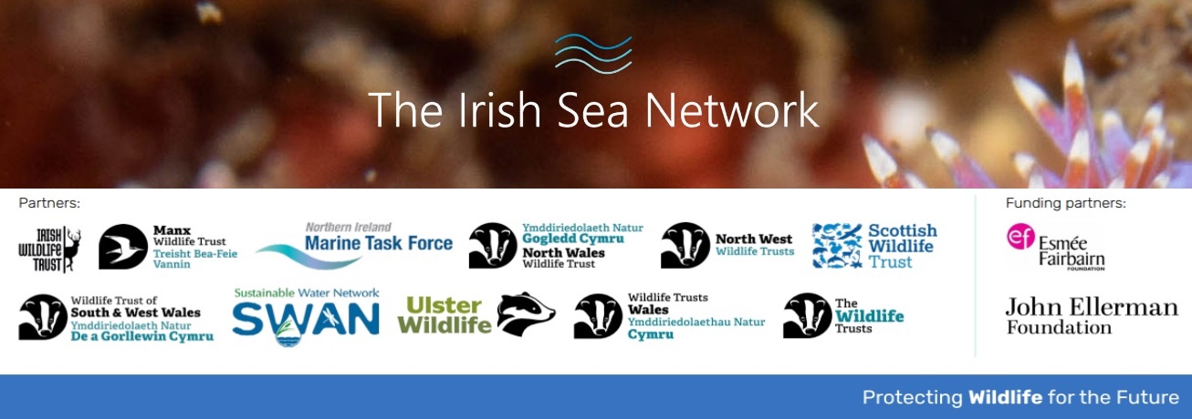 The Irish Sea Network (ISN) releases its new report ‘Ecological ...