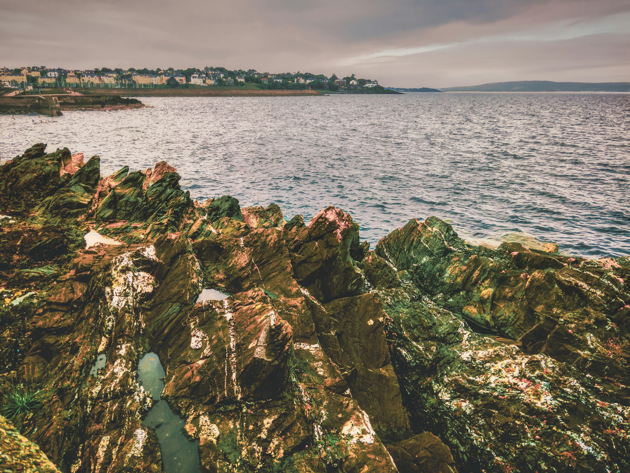 The Irish Sea Network (ISN) releases its new report ‘Ecological ...