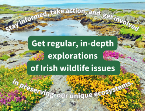 Irish Wildlife Trust - Home