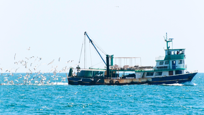 Call to Action: Consultation on Trawling Activity in 6 Nautical Mile ...