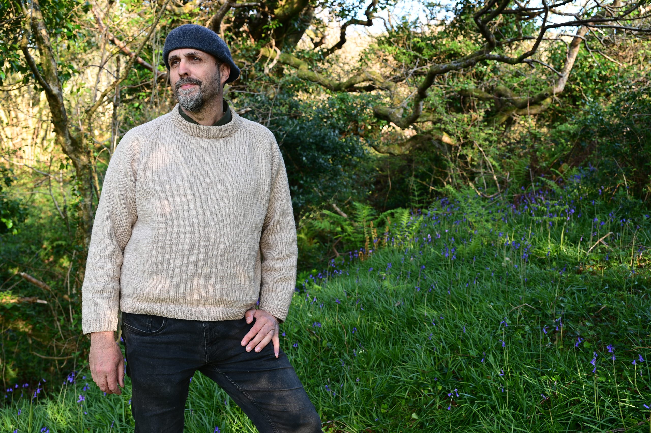 The Magic Of An Irish Rainforest - Irish Wildlife Trust