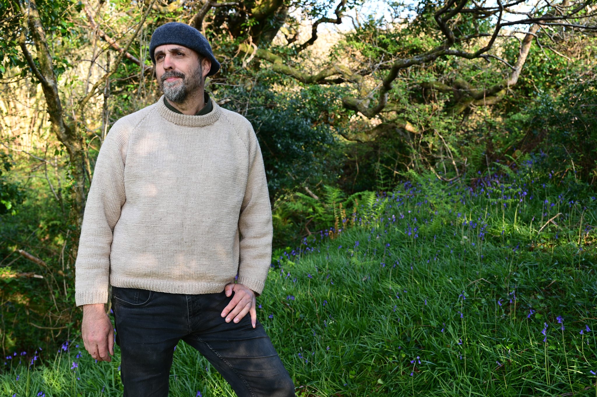 The Magic Of An Irish Rainforest - Irish Wildlife Trust