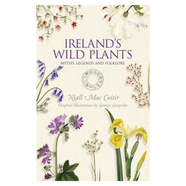 My First Book of Irish Animals - Irish Wildlife Trust